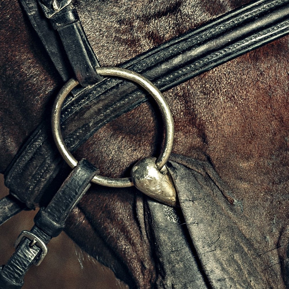 Bridle & Bits — Page 2 — Saddle Creek