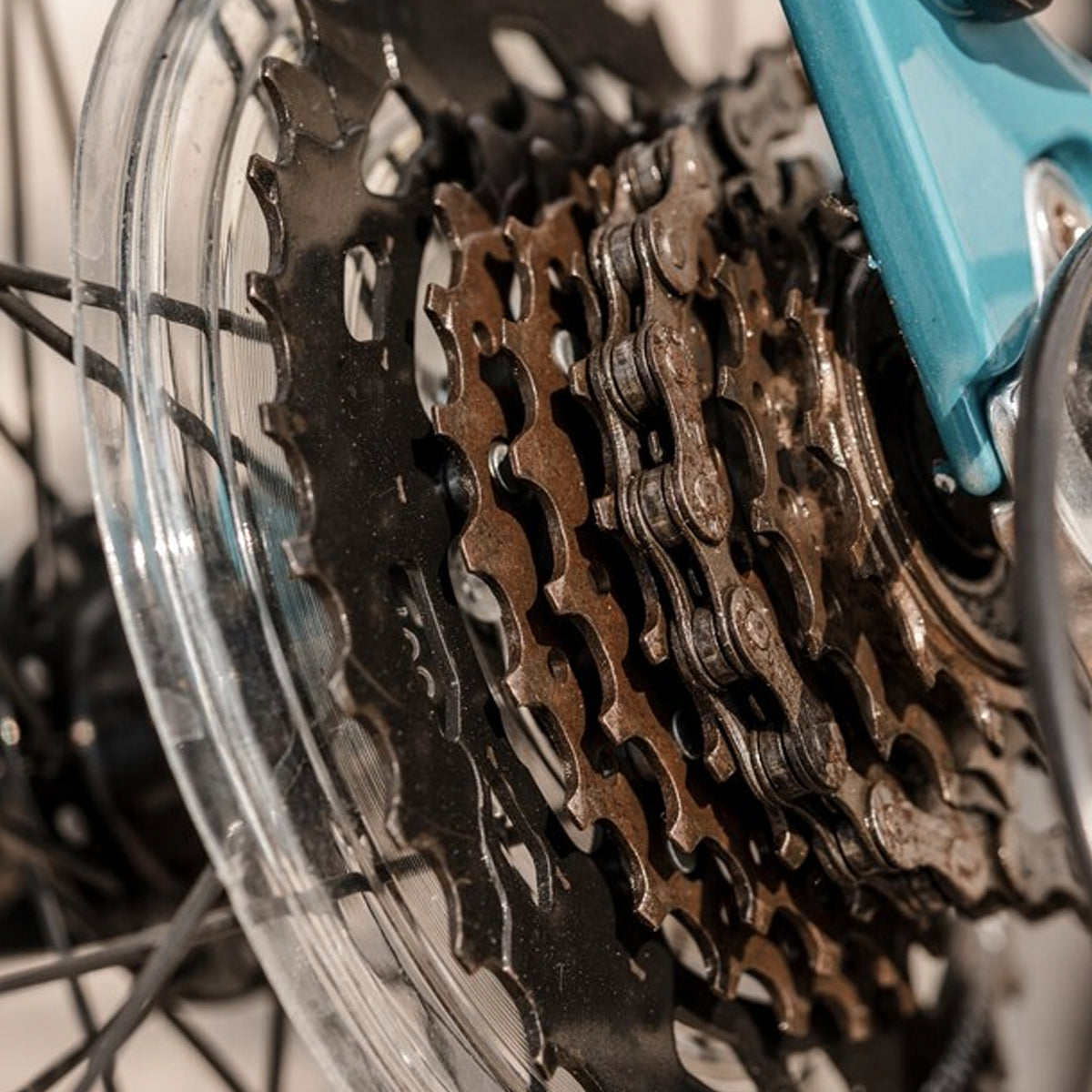 Bike Chains — Saddle Creek