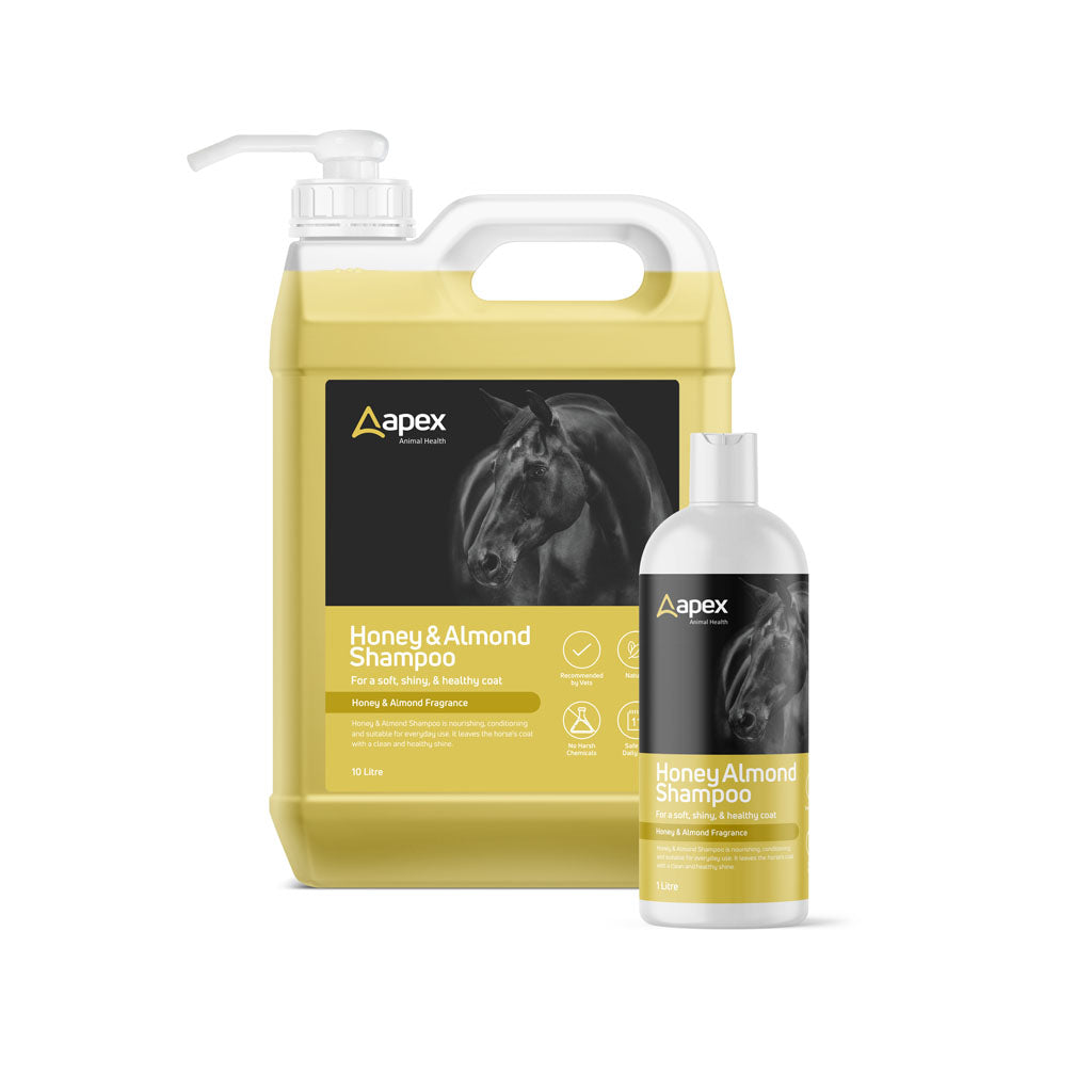 Apex Honey & Almond Shampoo 5lt — Saddle Creek