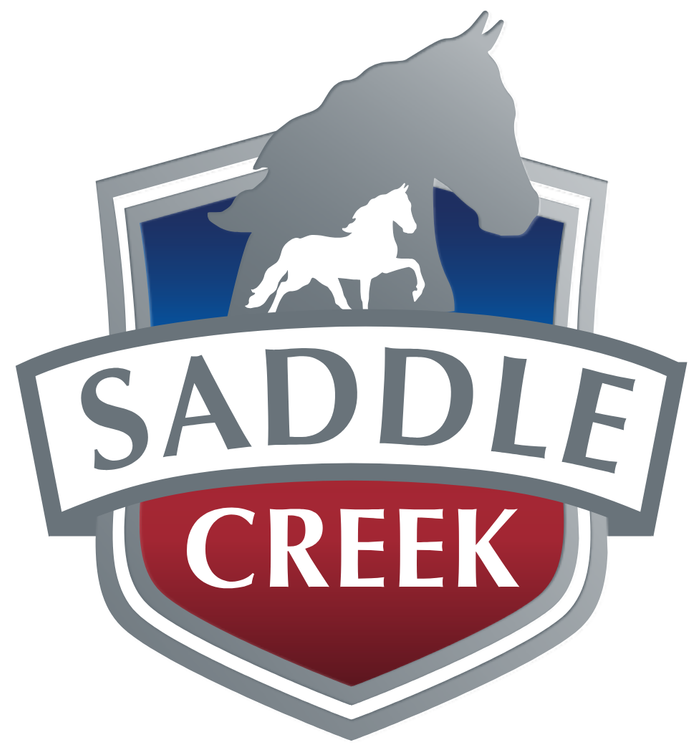 Sole Richard PVC — Saddle Creek